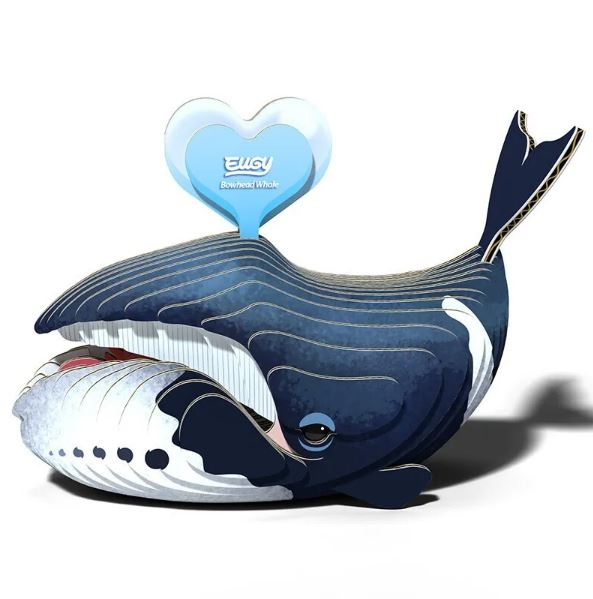 Bowhead Whale 3D Cardboard Model Kit Eugy New – Myriads Gifts