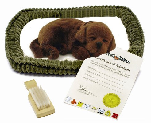 Perfect Petzzz Original Chocolate Lab Realistic Lifelike Stuffed Inter ...
